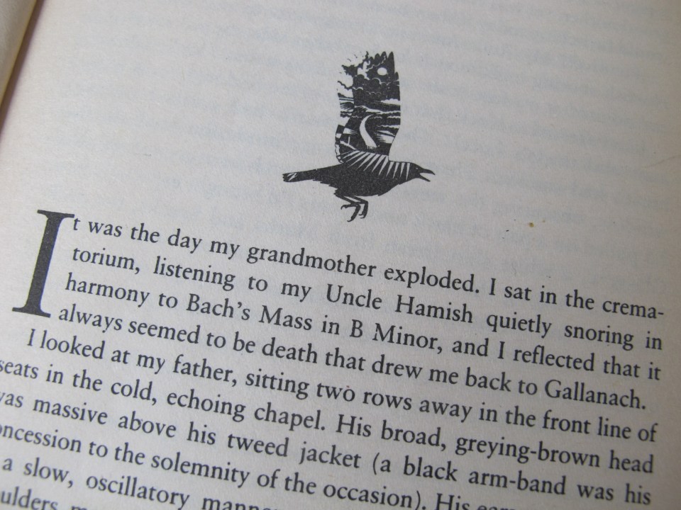 The crow Road | SANDRA DANBY'S BOOK REVIEWS